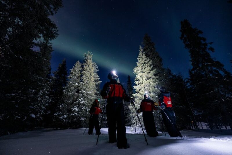 Ruka: Northern Light Hunt by Minivan - Considering the Cost and Overall Value