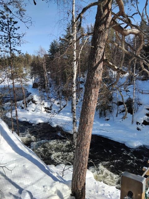 Ruka: Oulanka National Park Kìutaköngäs with lunch. - What to Expect During Your Tour
