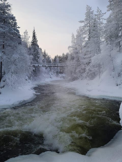 Ruka: Oulanka National Park Kìutaköngäs with lunch. - Deep Dive into the Details