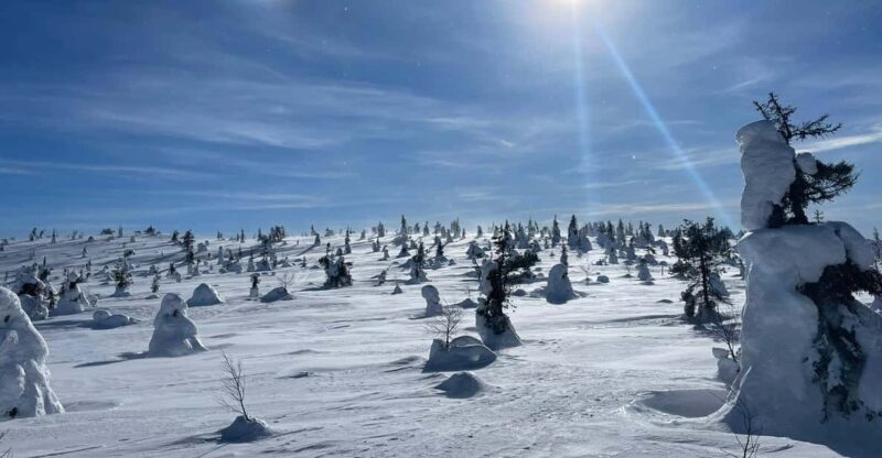 Ruka: Riisitunturi National Park with lunch. - A Walk through Riisitunturi: Nature, Culture, and Mindfulness
