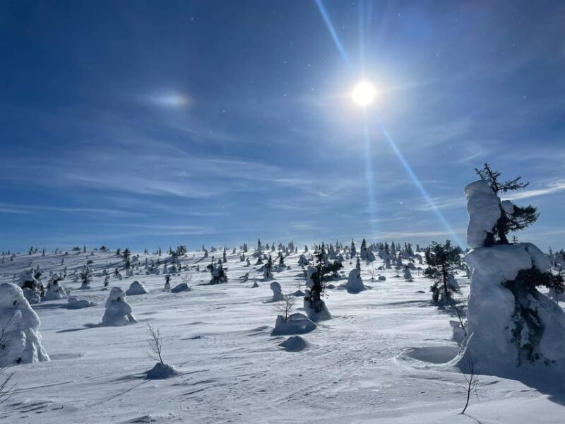 Ruka: Riisitunturi National Park with lunch. - The Itinerary in Detail