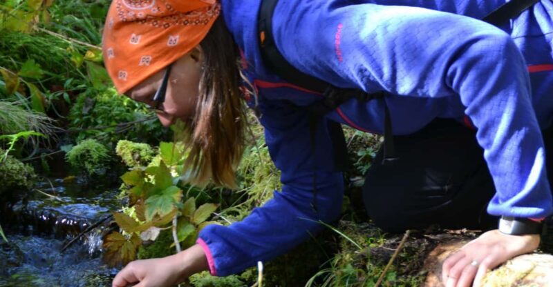 Ruka : Strength from nature  Hiking trip - Who Will Love This Tour?