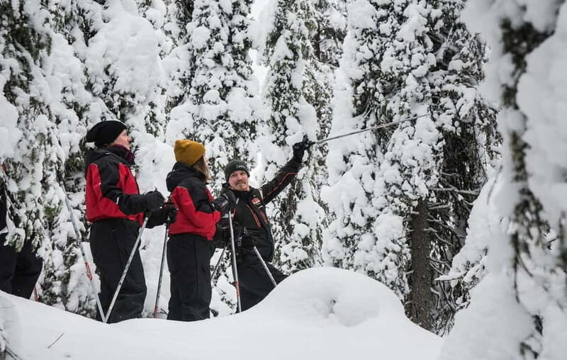Ruka:Daytime winter wonderland hike - Final Word
