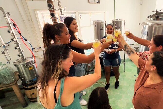 Rum and Gin at Cozumel First Distillery - Key Points