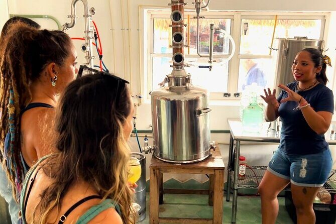 Rum and Gin at Cozumel First Distillery - The Practicalities: What You Need To Know