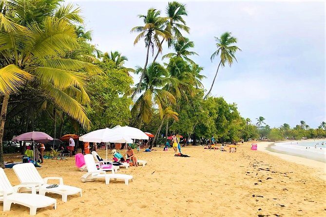 Rum and Salines paradise beach - A Closer Look at the Tour Itinerary