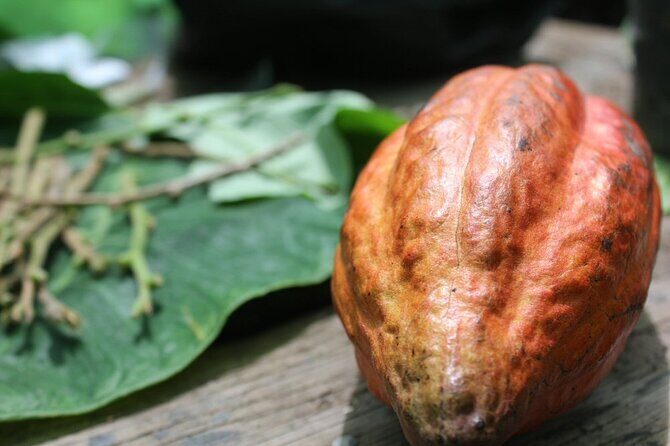 Rum & Chocolate Tasting Tour : Journey into Flavor - Key Points