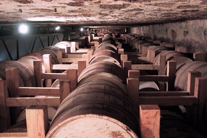 Rum Production Private Tour in Martinique - Practical Tips for Making The Most of Your Tour