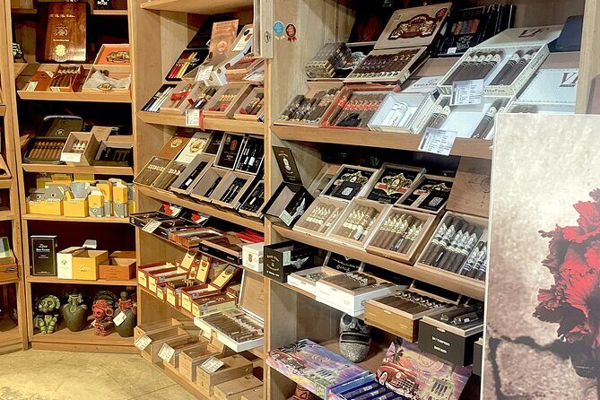 Rum Tasting at Punta Cana - The Sum Up