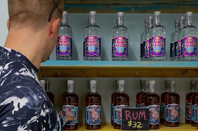 Rumbo Tour - Insights from Reviews