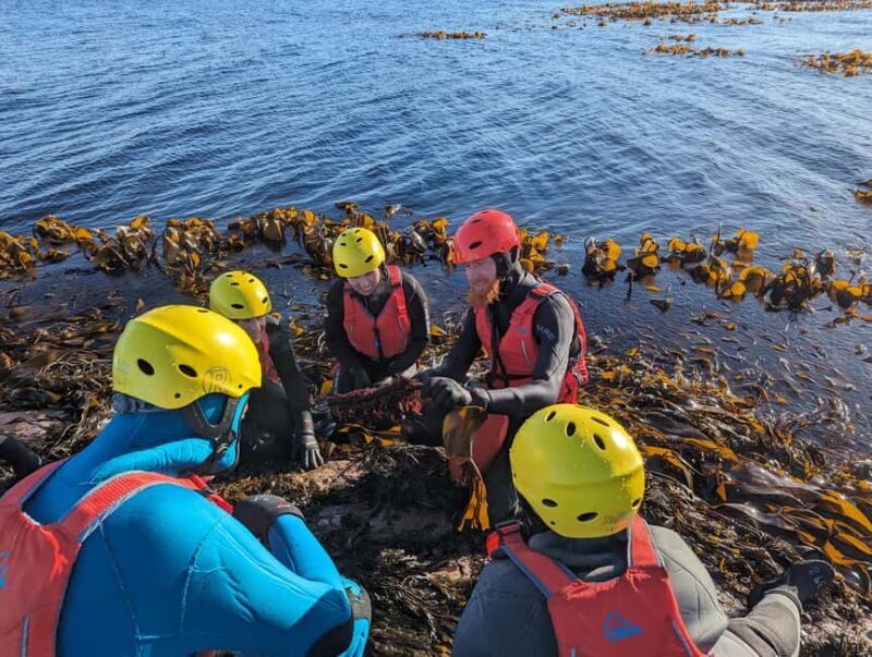 Runde: Coasteering Adventure with Guide and Gear - Key Points
