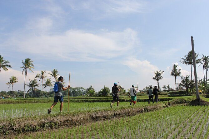 Rural Charm of Bali Tour - An In-Depth Look at the Rural Charm of Bali Tour