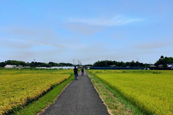 Rural Japan cycling tour to the rich nature area in Ichinomiya - An In-Depth Look at the Tour Experience