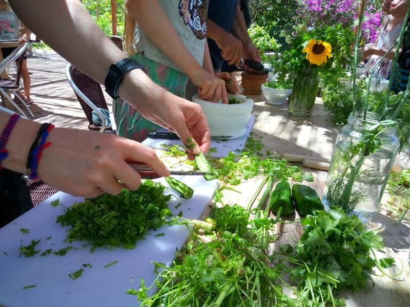 Rural Life Experience: Mojo Workshop and botanical Walk - The Sum Up