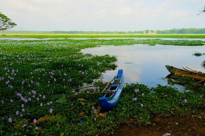 Rural Sri Lanka (13 N / 14 D) - Key Points