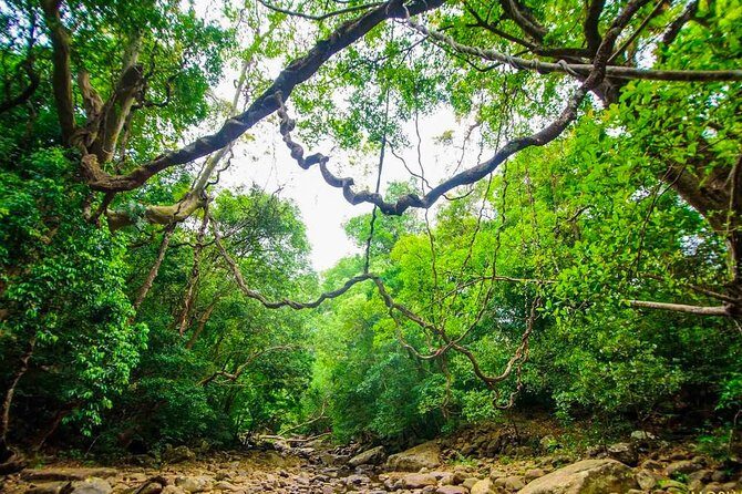 Rural Tour from Bentota (2 Days) - A Practical Guide to the 2-Day Rural Tour from Bentota