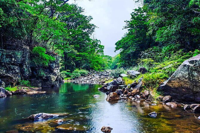 Rural Tour from Bentota (2 Days) - Who Should Consider This Tour?