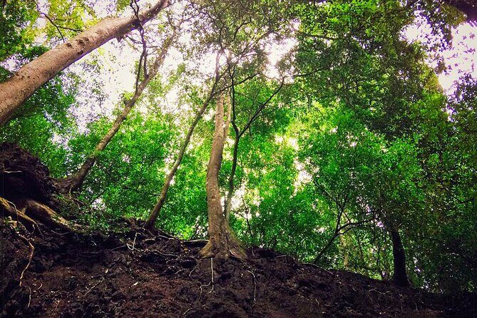 Rural Tour from Bentota (2 Days) - Final Thoughts