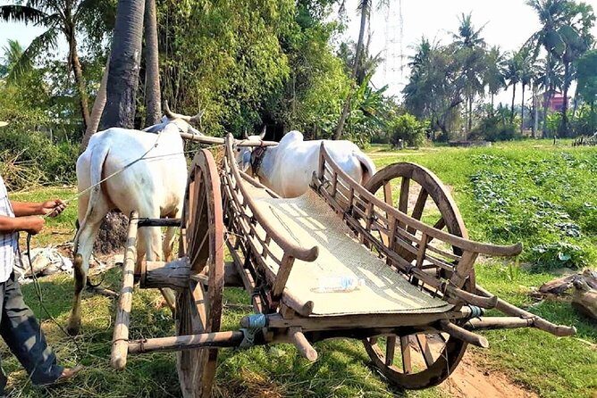 Rural Village with Ox Cart Journey & Monk Blessing - Why You’ll Love This Tour