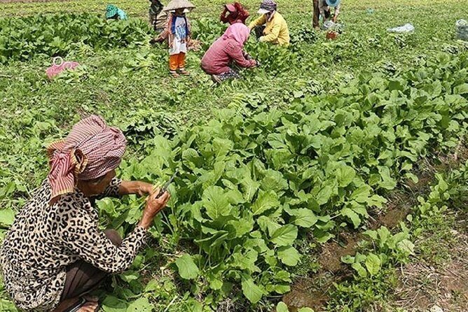 Rural Village with Ox Cart Journey & Monk Blessing - Final Thoughts