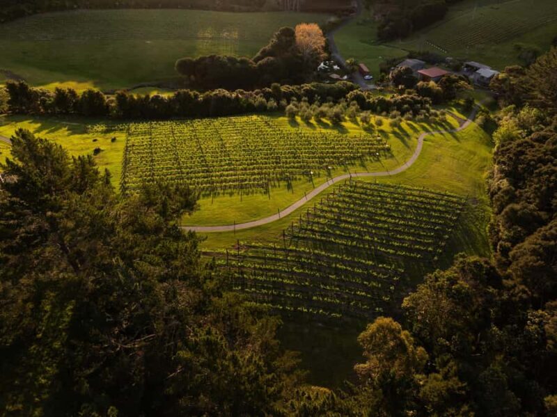 Russell: Paroa Bay Winery - Wine Tasting and Grazing - The Practicalities: What You Need to Know