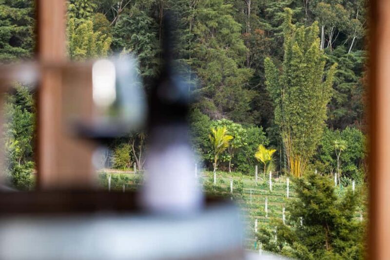 Russell: Paroa Bay Winery - Wine Tasting and Grazing - Why This Tour Works Well