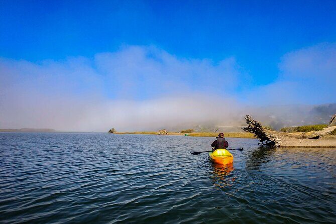 Russian River Kayak Tour at the Beautiful Sonoma Coast - What the Itinerary Looks Like