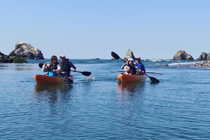 Russian River Kayak Tour at the Beautiful Sonoma Coast - Safety, Equipment, and Preparation
