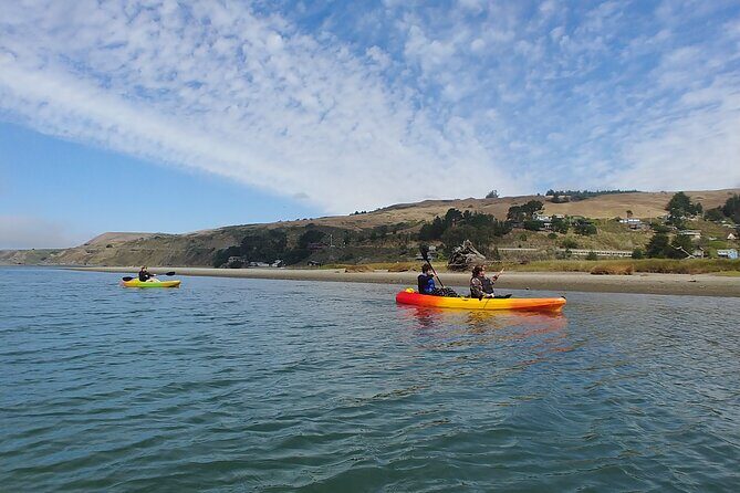 Russian River Kayak Tour at the Beautiful Sonoma Coast - What Makes This Tour Stand Out?