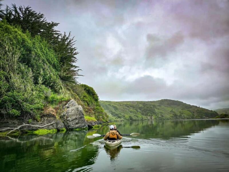 Russian River: Kayak Tour - The Sum Up: Is this tour right for you?
