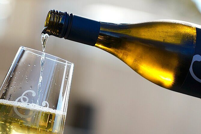 Russian River Weekend Wine Tasting & Gourmet Lunch - Who Would Enjoy This Tour?