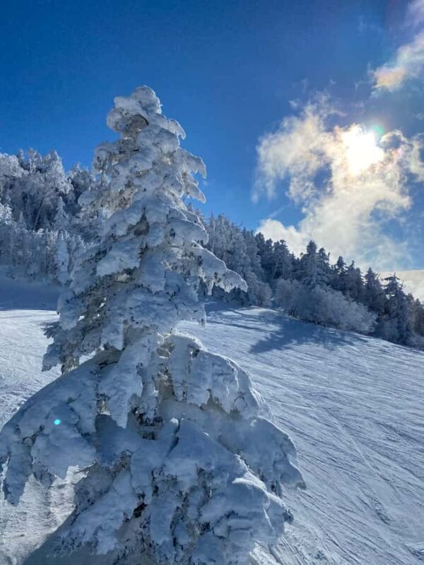 Rusutsu: Private Ski Lesson (Certified Instructor) - Frequently Asked Questions