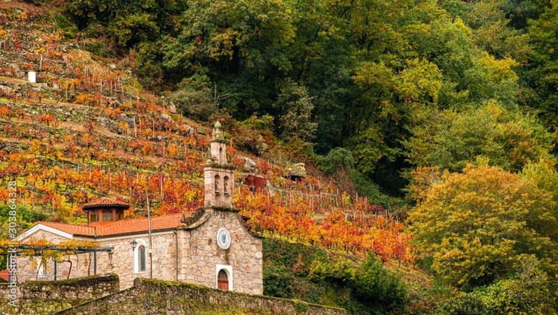 Ruta Ribeira Sacra and Sarria: Between Vineyards, History and the Way of Saint James - Discovering Galicia: A Deeper Look into the Tour