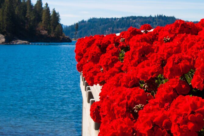 Rydables Discover Coeur dAlene Guide Tour - Who Should Consider This Tour?