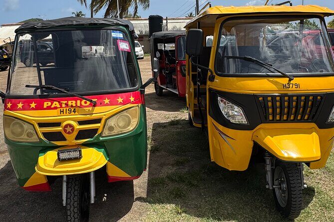 Ryde Tuk Tuk Eco and History Tour in St David Grenada - What Past Travelers Are Saying (Based on Reviews)