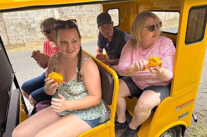 Ryde Tuk Tuk Eco and History Tour in St David Grenada - Who Will Love This Tour?