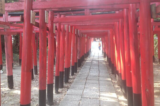 Ryugeji Temple Ocha Kaikan YumeTerrace MInowa Inari Shrine /V-G - The Practicalities: What to Expect