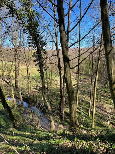 Rzeszów: Countryside trip with bonfire & sausage grilling - Introduction: An Authentic Taste of Poland’s Countryside