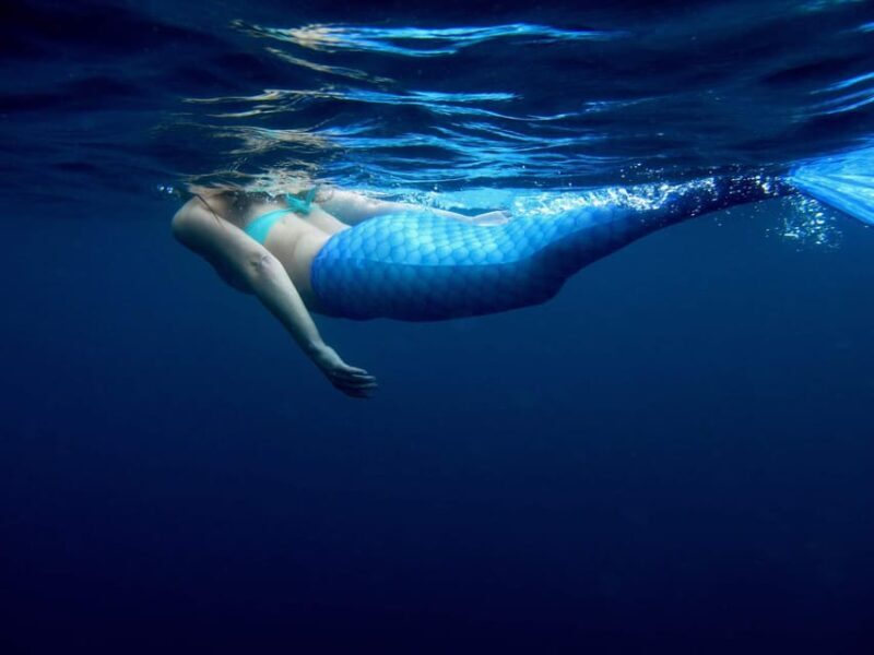 S. Miguel: Mermaid Experience in Azores - A Closer Look at the Mermaid Experience in the Azores