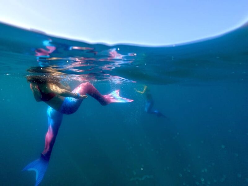 S. Miguel: Mermaid Experience in Azores - Price and Value