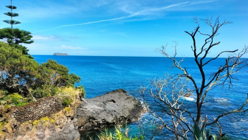 S. Miguel: Snorkeling adventure in Caloura - An In-Depth Look at the Tour Experience