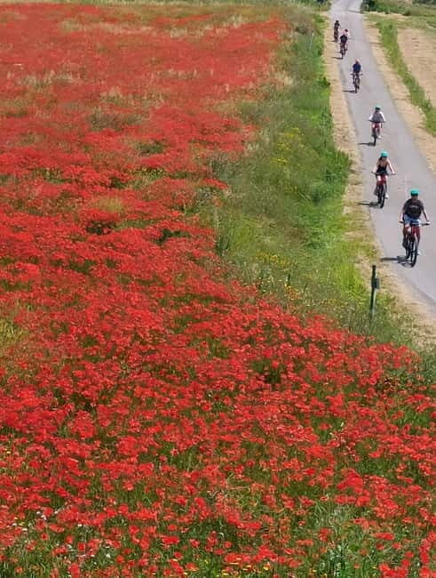 S.Miniato e-bike tour and aperitif (optional yoga at sunset) - Exploring the San Miniato E-Bike Tour and Aperitif: A Practical Guide for Authentic Tuscany