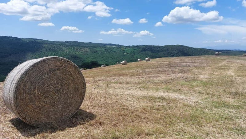 S.Miniato e-bike tour and aperitif (optional yoga at sunset) - Key Points