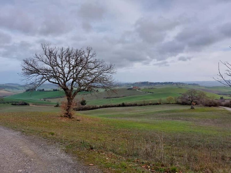S.Miniato e-bike tour and aperitif (optional yoga at sunset) - The Experience of the Bikes and Routes
