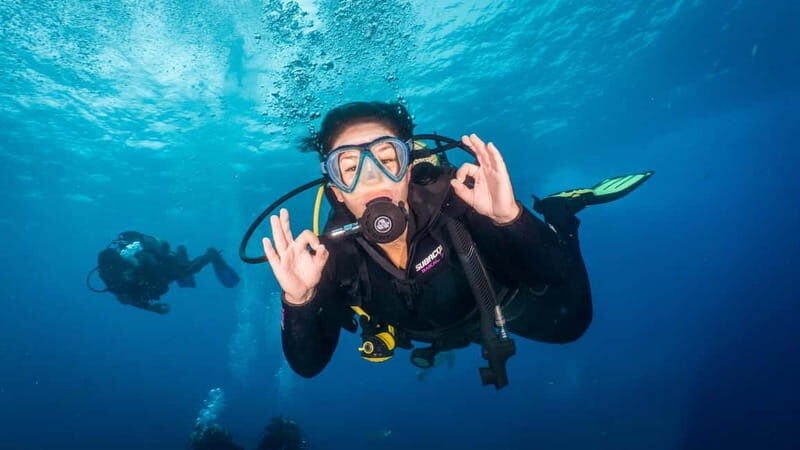 S. Tenerife: Exciting Boat Dive for Beginners to Turtle Bay - An In-Depth Look at the Tenerife Boat Dive Experience