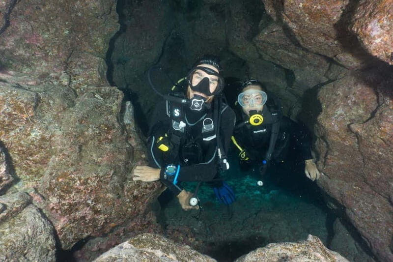 S Tenerife: Guided Boat Dive for Qualified Divers - Final Thoughts