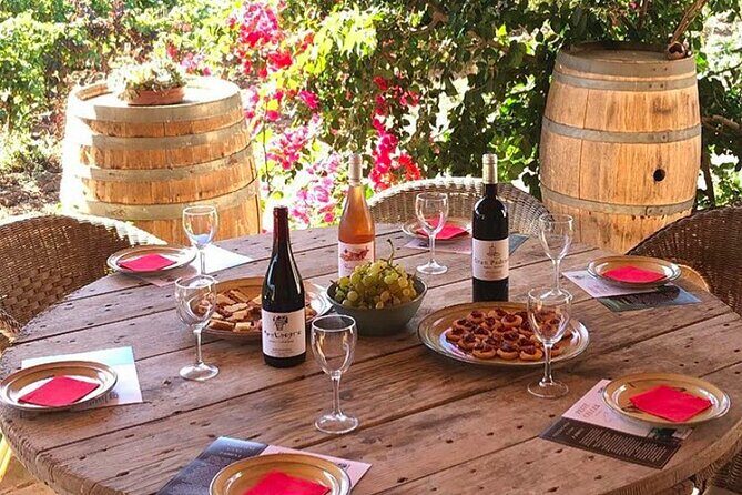 Sa Clasta Wine Tours, Mallorca - Who Is This Tour Best For?
