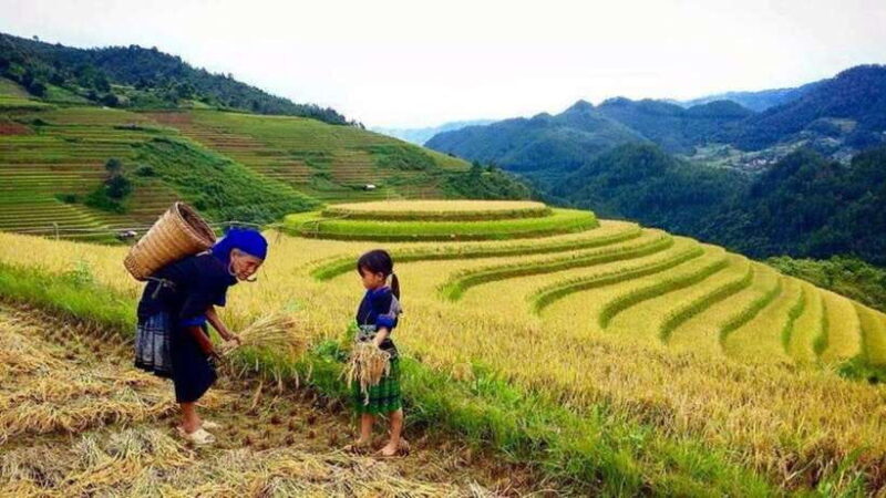 Sa Pa: 2-Day Trekking Tour with Ethnic Minority Homestay - Key Points