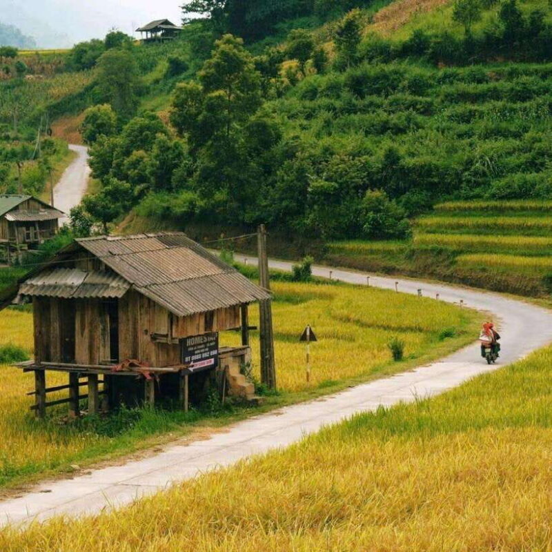 Sa Pa: 2-Day Trekking Tour with Ethnic Minority Homestay - A Closer Look at the Itinerary