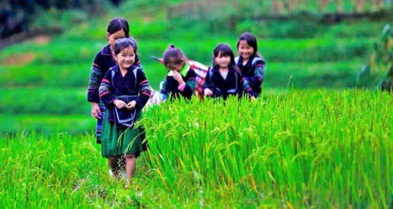 Sa Pa: 2-Day Trekking Tour with Ethnic Minority Homestay - What Past Travelers Say